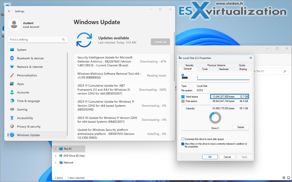 Tiny 11 - a lightweight Windows 11 needing only 12Gb disk and running ...