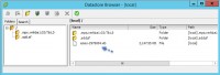 ESXi FREE Web Client Interface - ESX Virtualization